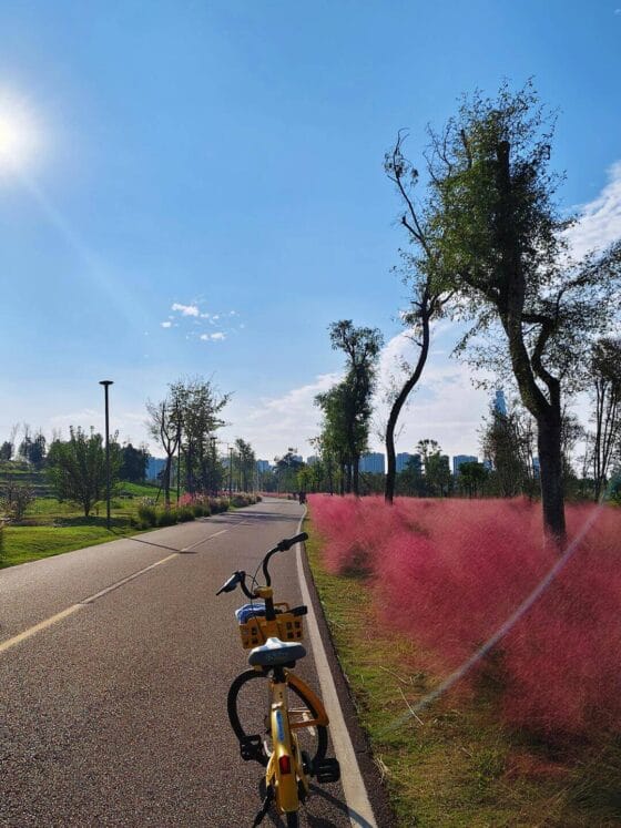 Tianfu Greenway - Go Local China